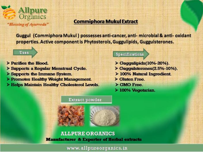 Commiphora mukul Extract manufacturer, order fro allpure organics