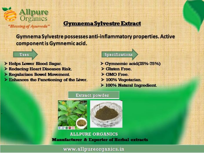 Gymnema sylvestre Extract,Gymnema sylvestre Extract powder , Gymnema ...