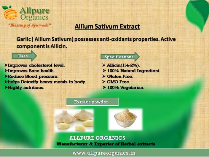 Allium Sativum Extract, Allium Sativum Extract manufacturer by allpure ...