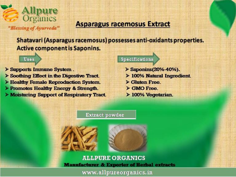 Ashwagandha Extract,Asparagus racemosus Extract, Asparagus racemosus ...